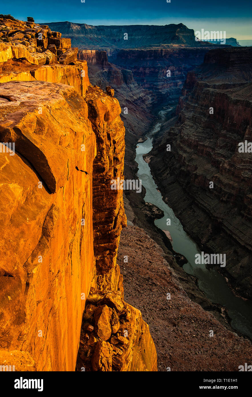 Sunrise at Toroweap Overlook in The Grand Canyon Stock Photo - Alamy