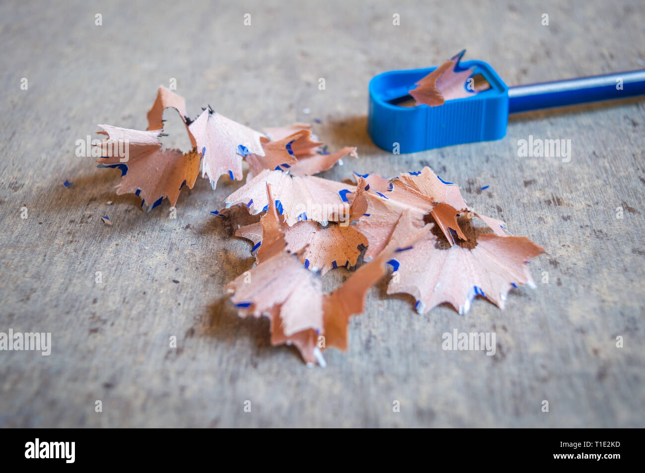 Close up of a pencil sharpened with a sharpener with pencil peels and ...