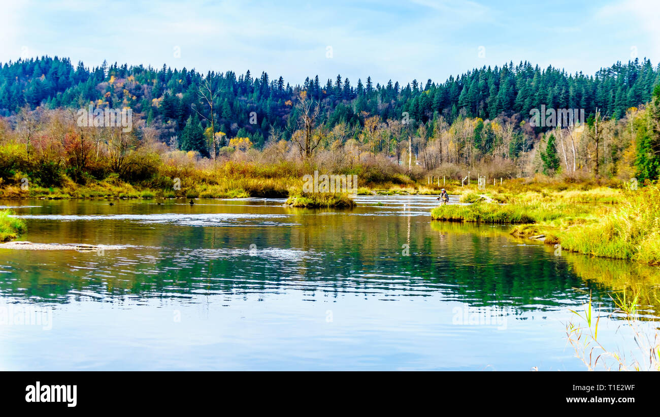 The spawning grounds of the Stave River downstream of the Ruskin Dam at ...