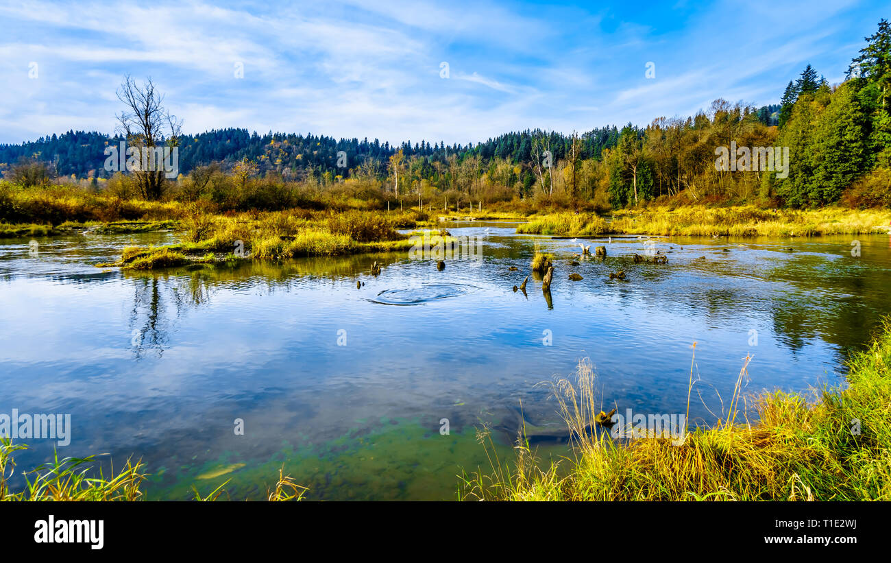 Stave lake british columbia hi-res stock photography and images - Alamy