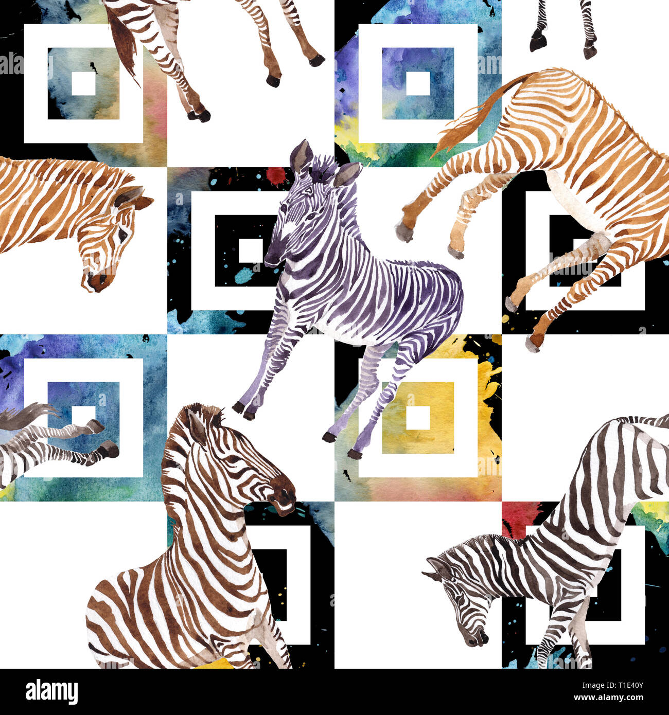 Exotic zebra wild animal in a watercolor style. Watercolor background ...