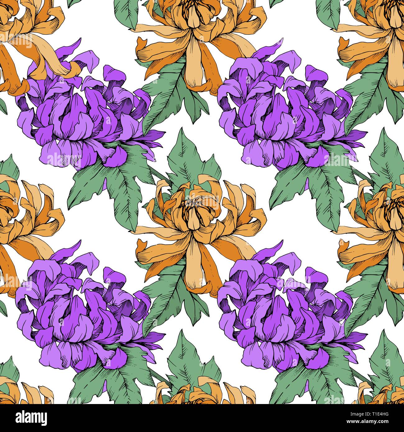 Vector Chrysanthemum floral botanical flowers. Engraved ink art ...