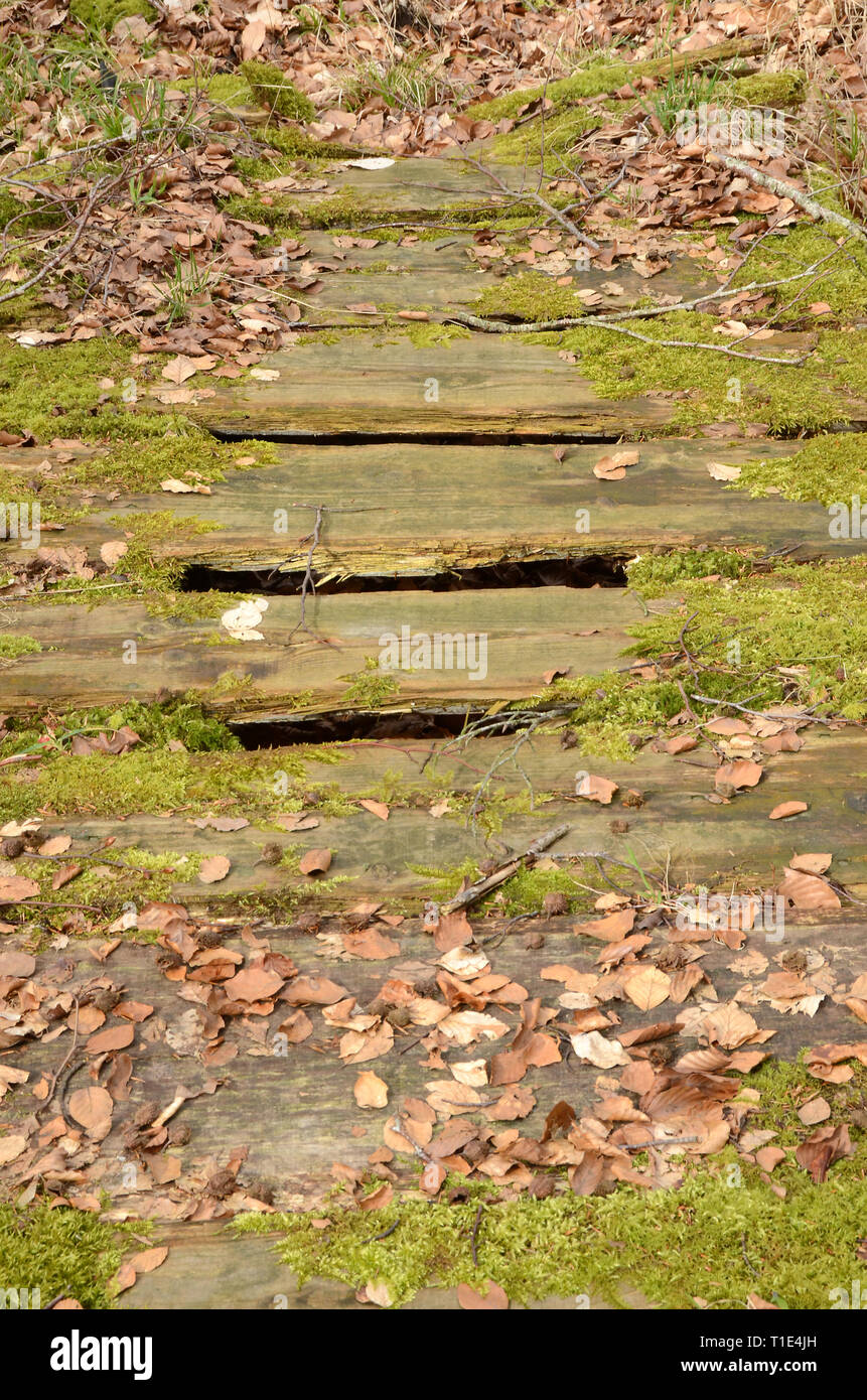 Rotten bridge hi-res stock photography and images - Alamy