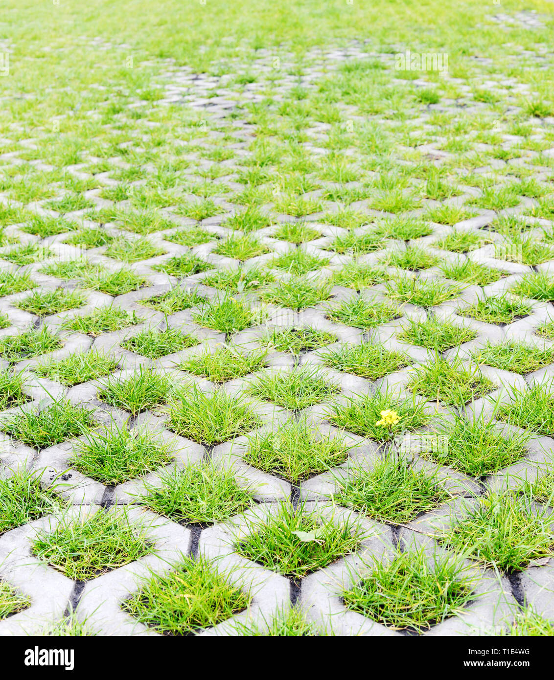 Grass concrete parking hi-res stock photography and images - Alamy