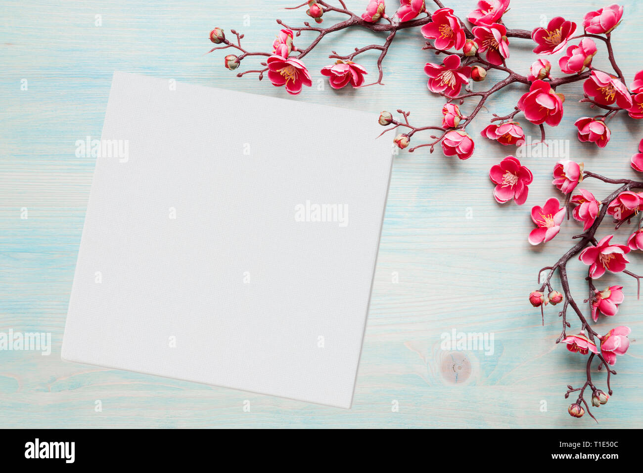 Spring square border hi-res stock photography and images - Alamy