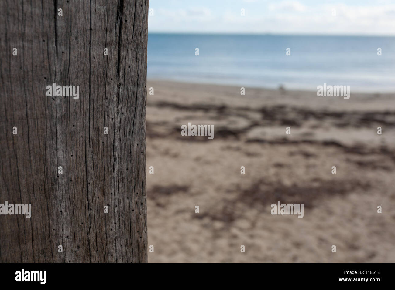 Vertical wooden post with wood grain against an out of focus blurred ...