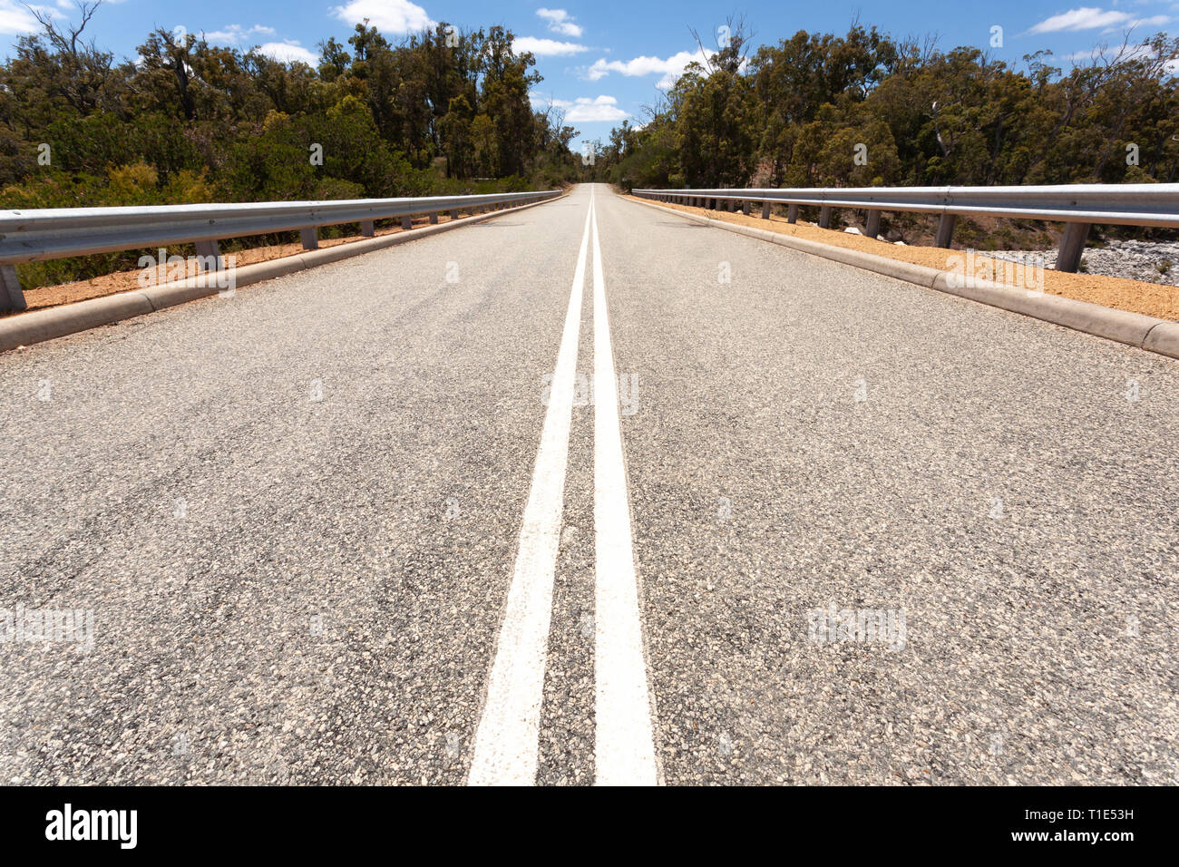 Australian sealed tarmac road leading into the bush tree line Stock ...