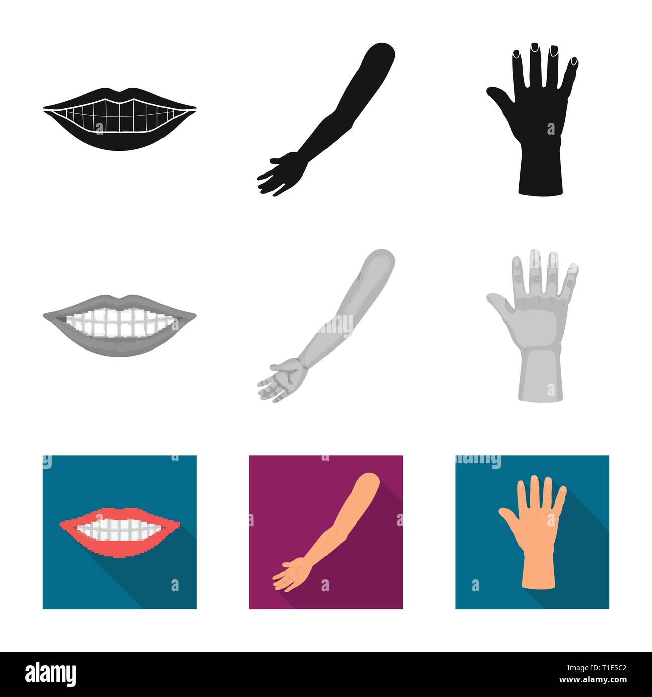 Vector illustration of body and part logo. Set of body and anatomy ...