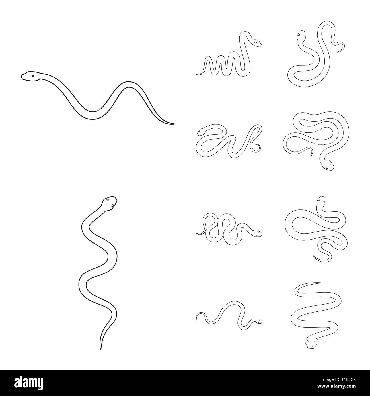 snake,viper,amphibian,animal,tail,python,wild,anaconda,cobra,leather ...