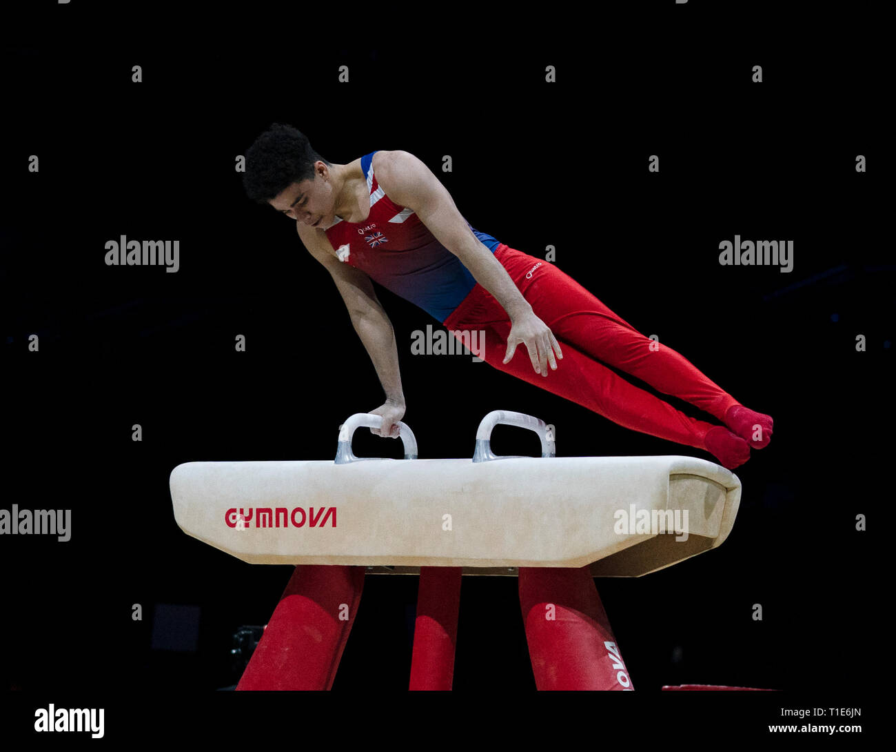 Jamie Lewis (GB) in action during Gymnastics World Cup 2019 at Genting ...