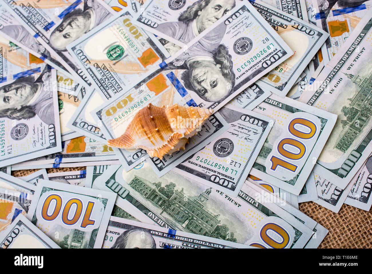Sea shell placed on spread US dollar banknotes Stock Photo - Alamy