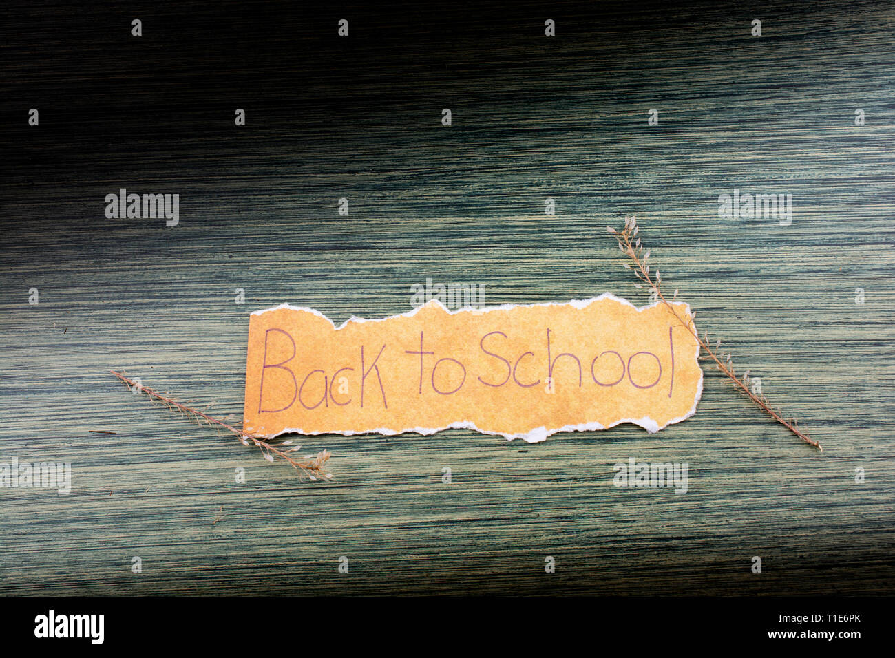 Back to school wording on a piece of torn paper Stock Photo - Alamy