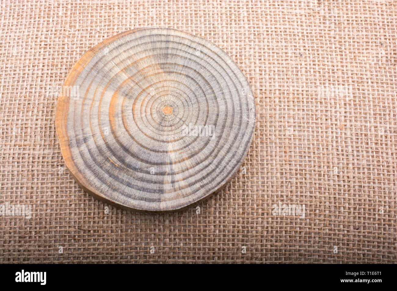 Wood Log cut in round thin pieces in view Stock Photo - Alamy