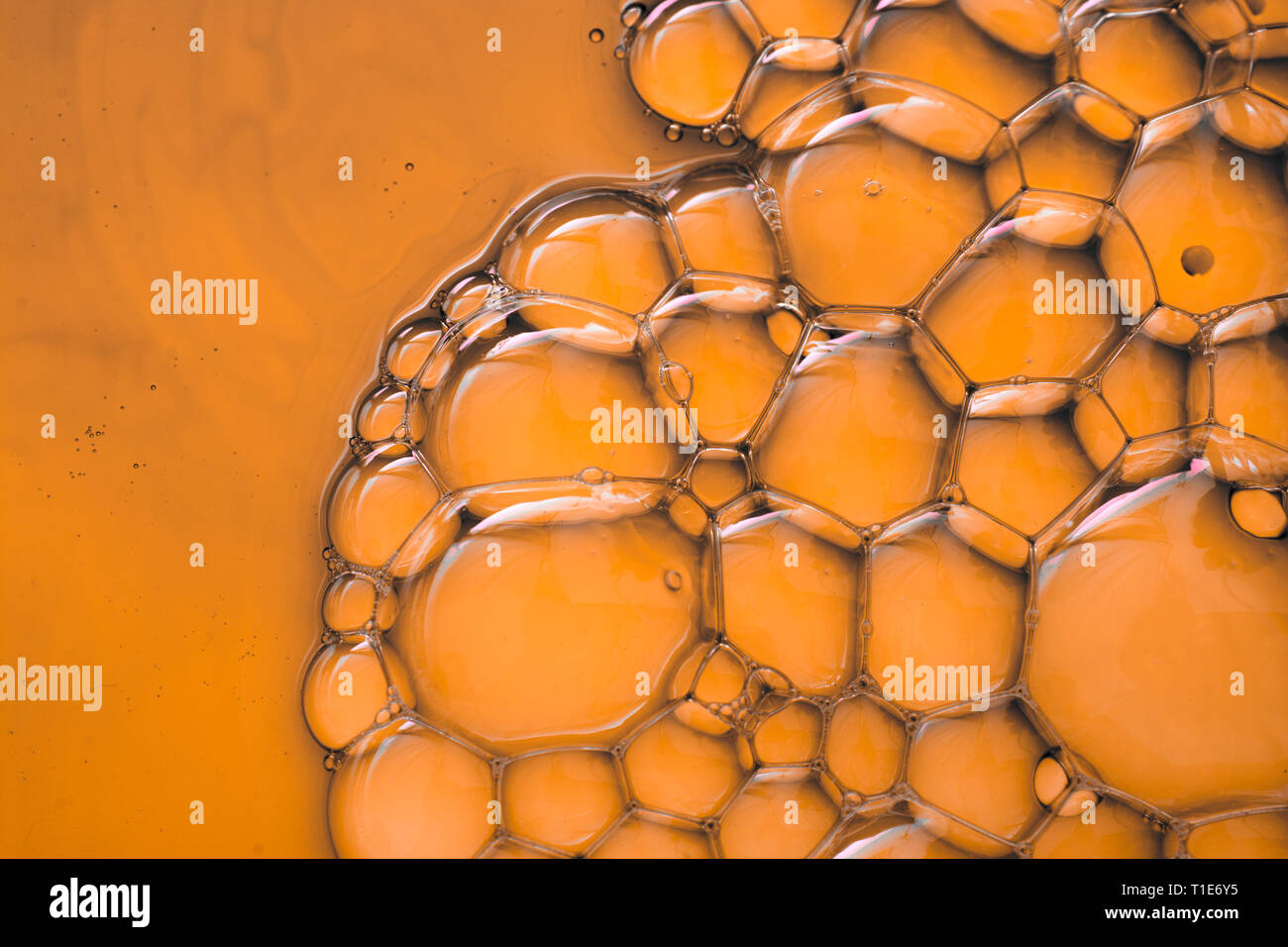 Colorful water bubles on water as abackground Stock Photo - Alamy