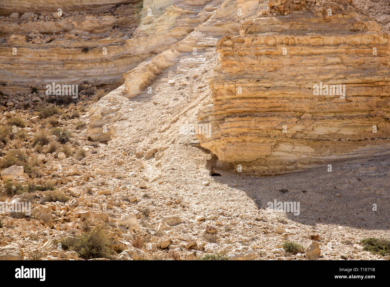 Marl stone formations. Eroded cliffs made of marl. Marl is a calcium ...