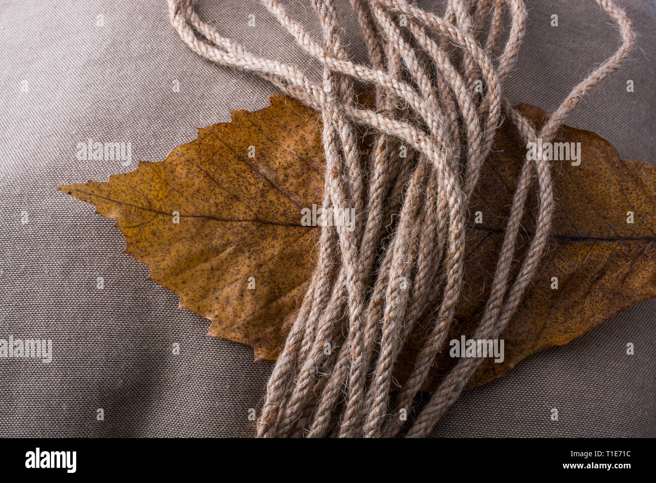 Rope and a dry leaf as an autumn background Stock Photo - Alamy