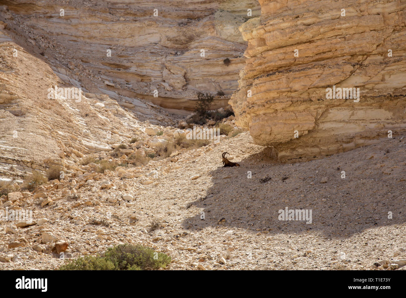Geological environment hi-res stock photography and images - Alamy