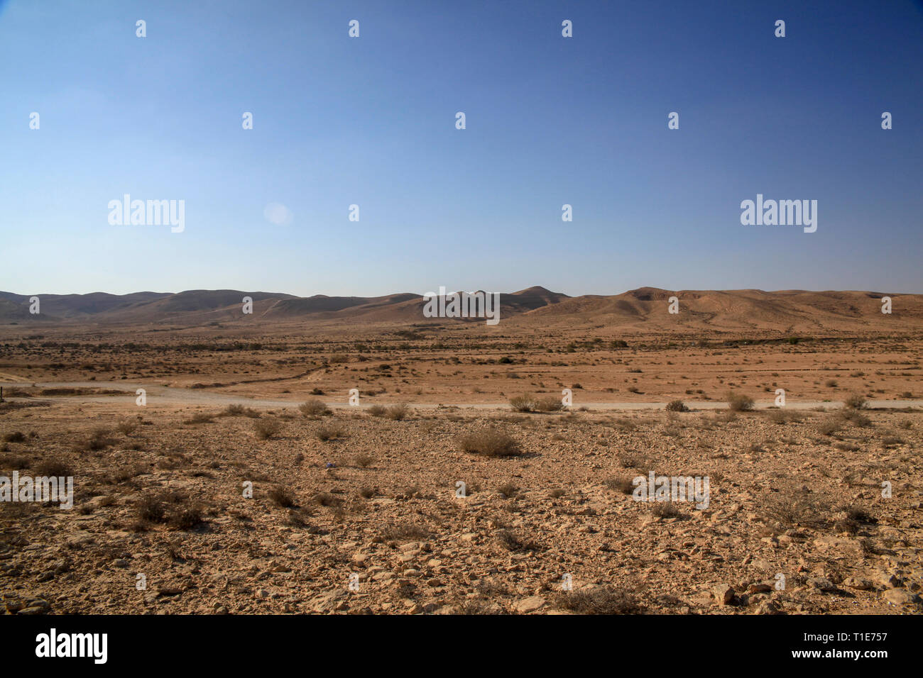 Arid barren landscapes hi-res stock photography and images - Alamy