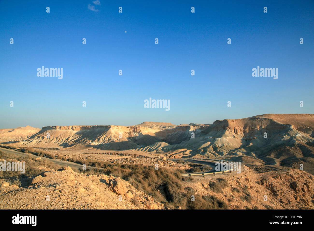 Negev Desert landscape, Israel Stock Photo - Alamy