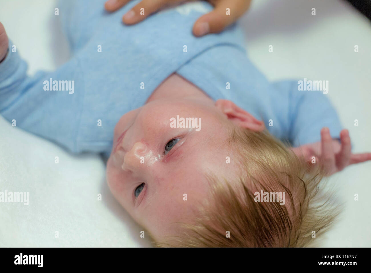 Three week old baby. Model Release Available Stock Photo - Alamy