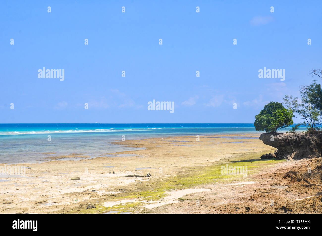 Zanzibar Indian Ocean Stock Photo - Alamy