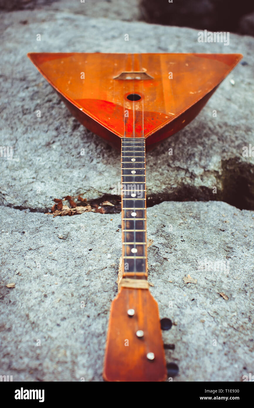 balalaika is in the forest near the tree Stock Photo - Alamy