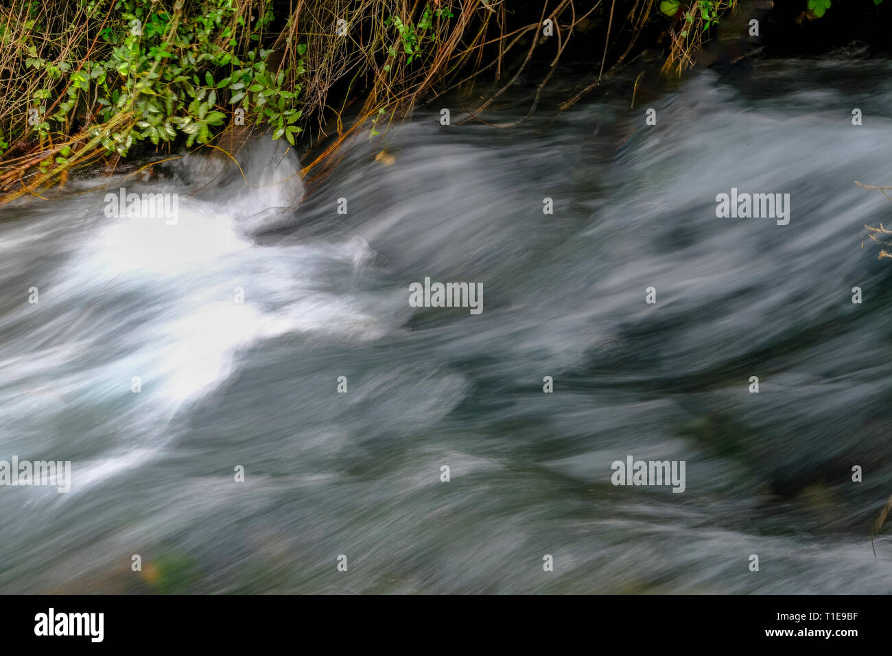 water flows in a stream long exposure Stock Photo - Alamy