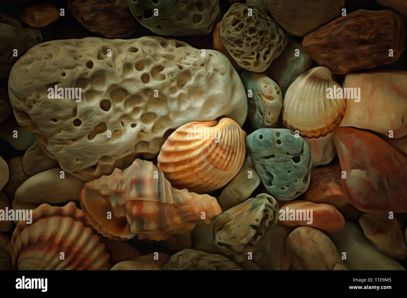Detail of the various sea pebbles on the beach with shells Stock Photo ...