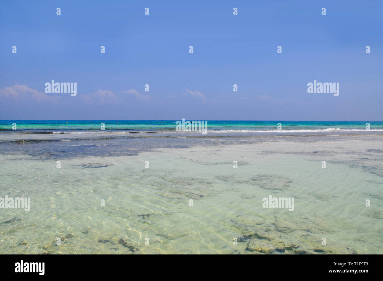 Zanzibar Indian Ocean Stock Photo - Alamy