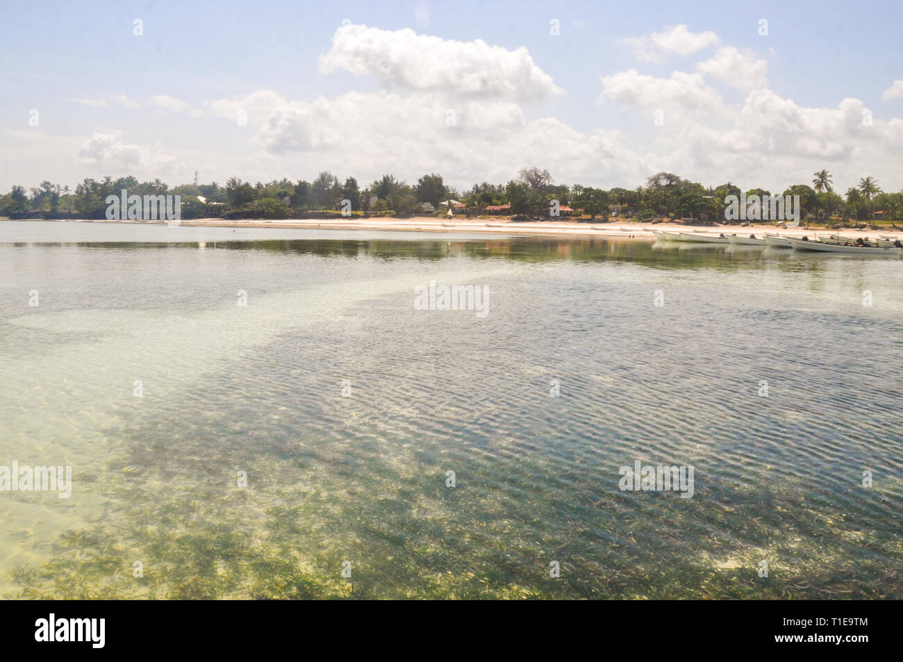 Zanzibar Indian Ocean Stock Photo - Alamy