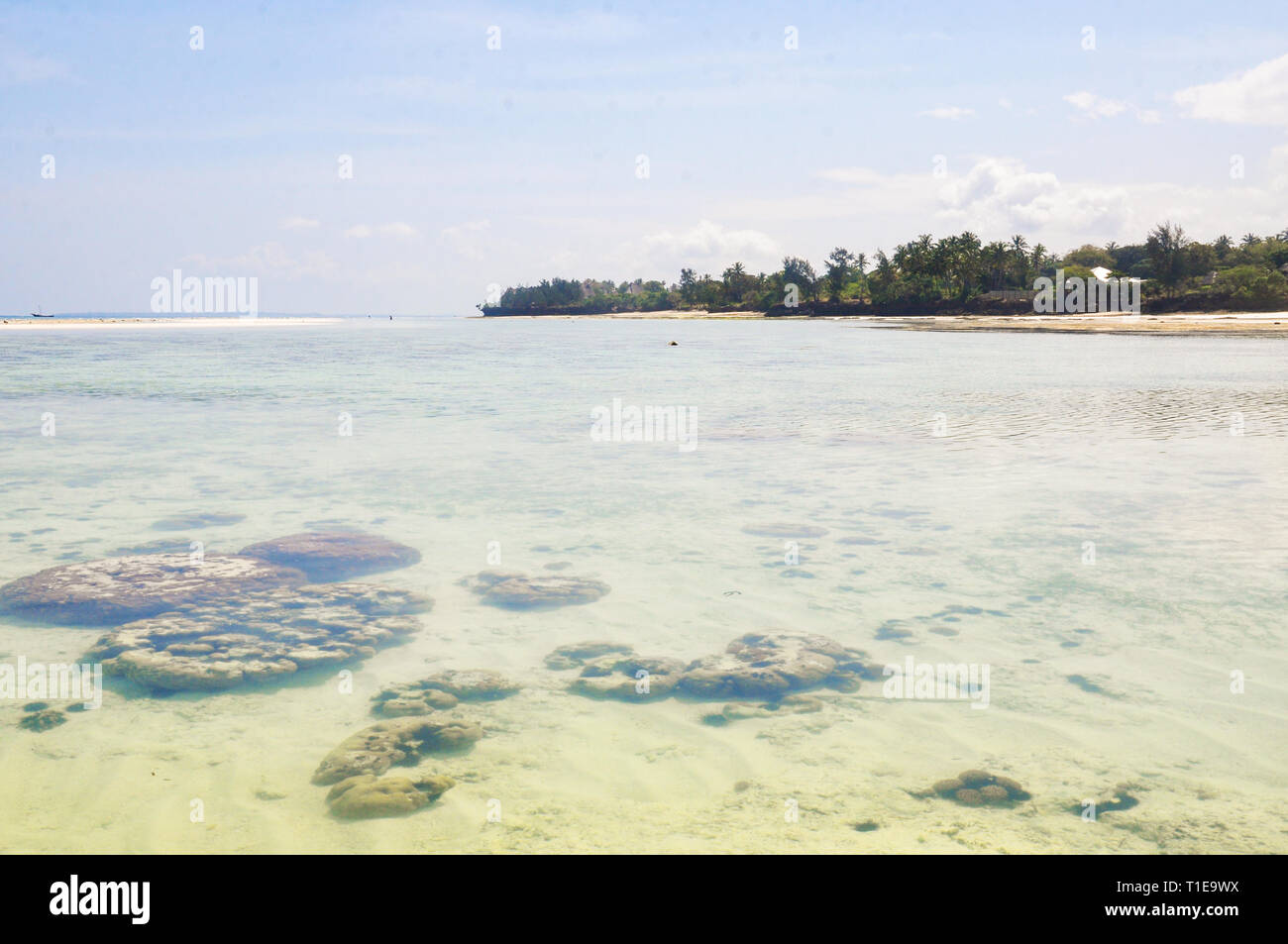 Zanzibar Indian Ocean Stock Photo - Alamy