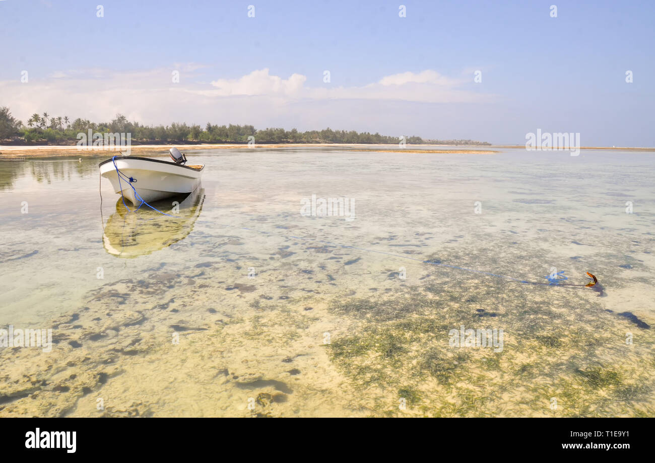 Zanzibar Indian Ocean Stock Photo - Alamy