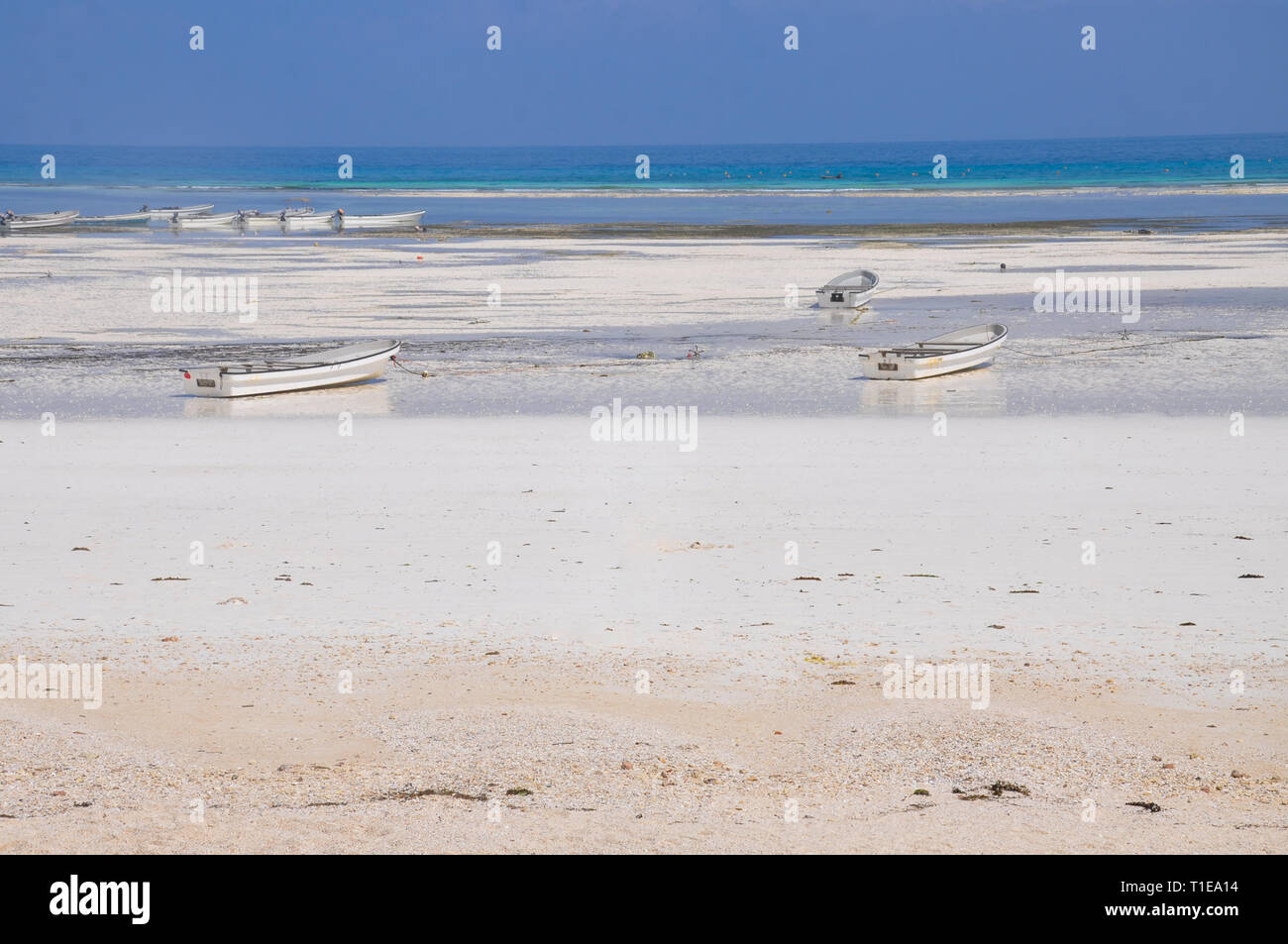 Zanzibar Indian Ocean Stock Photo - Alamy