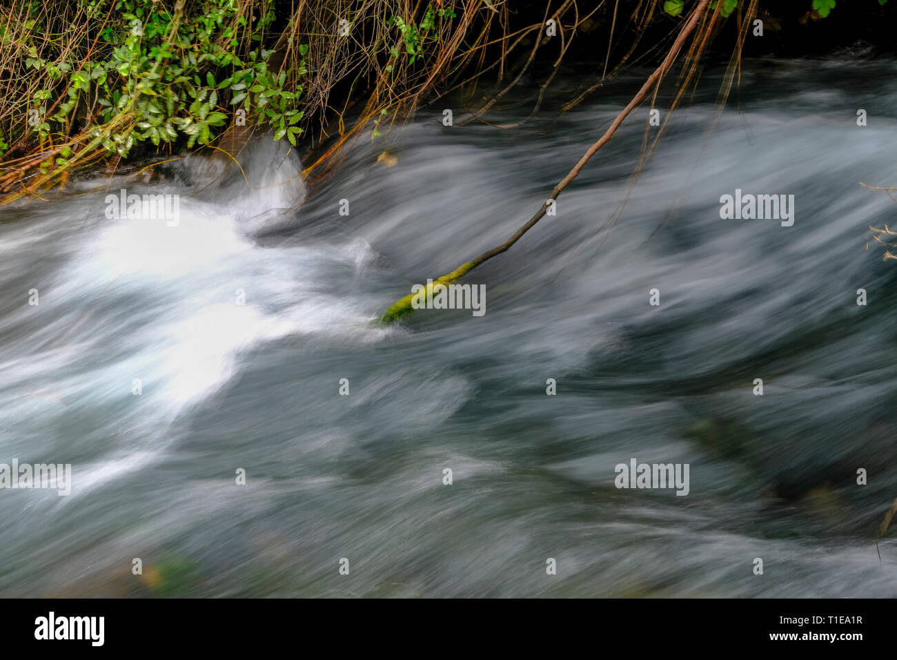water flows in a stream long exposure Stock Photo - Alamy