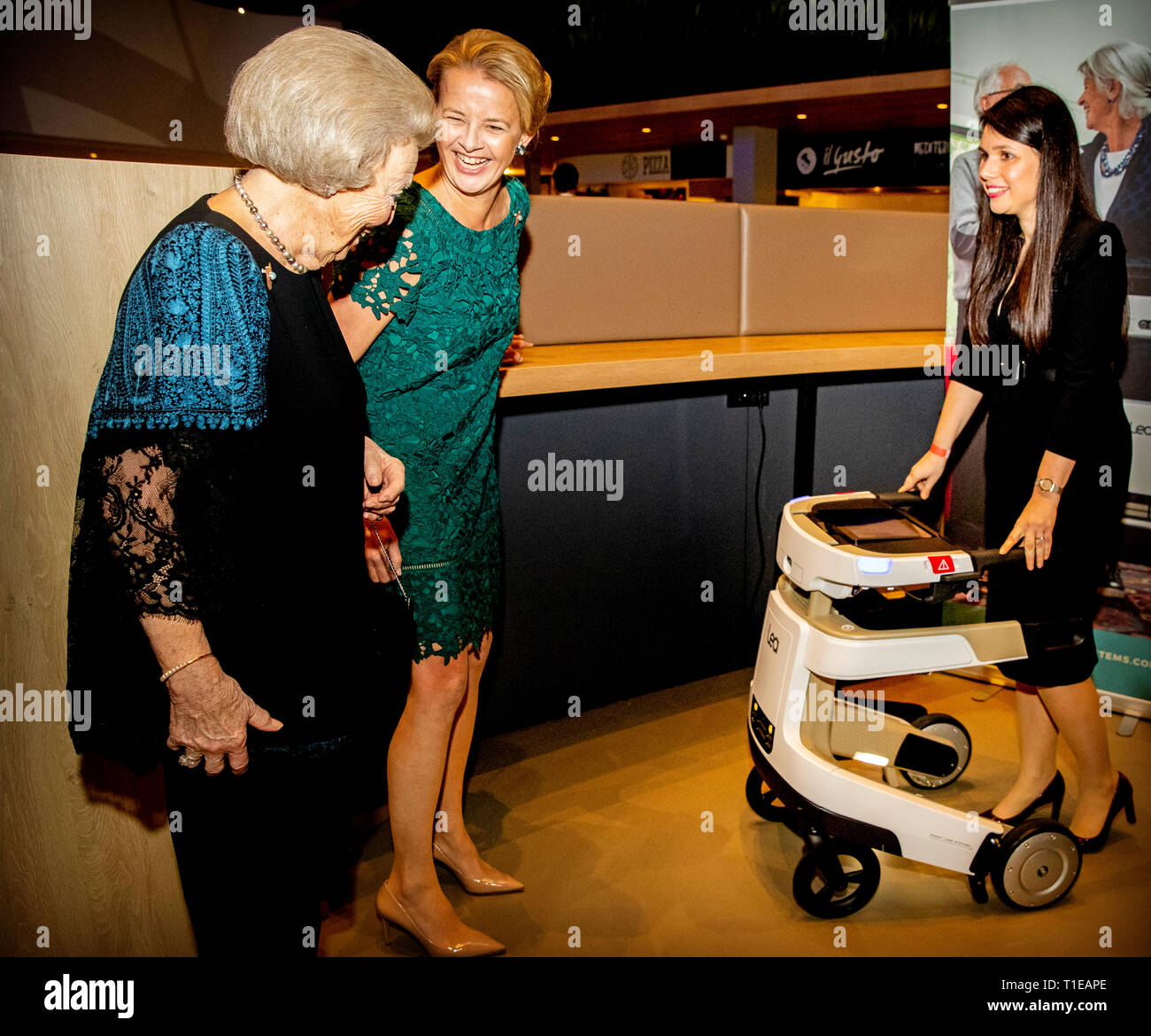 VELDHOVEN - In the presence of Princess Beatrix and Princess Mabel, the ...