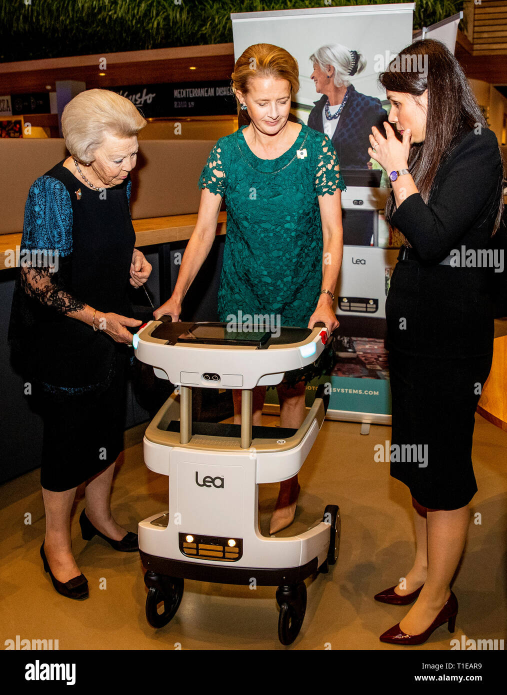 VELDHOVEN - In the presence of Princess Beatrix and Princess Mabel, the ...