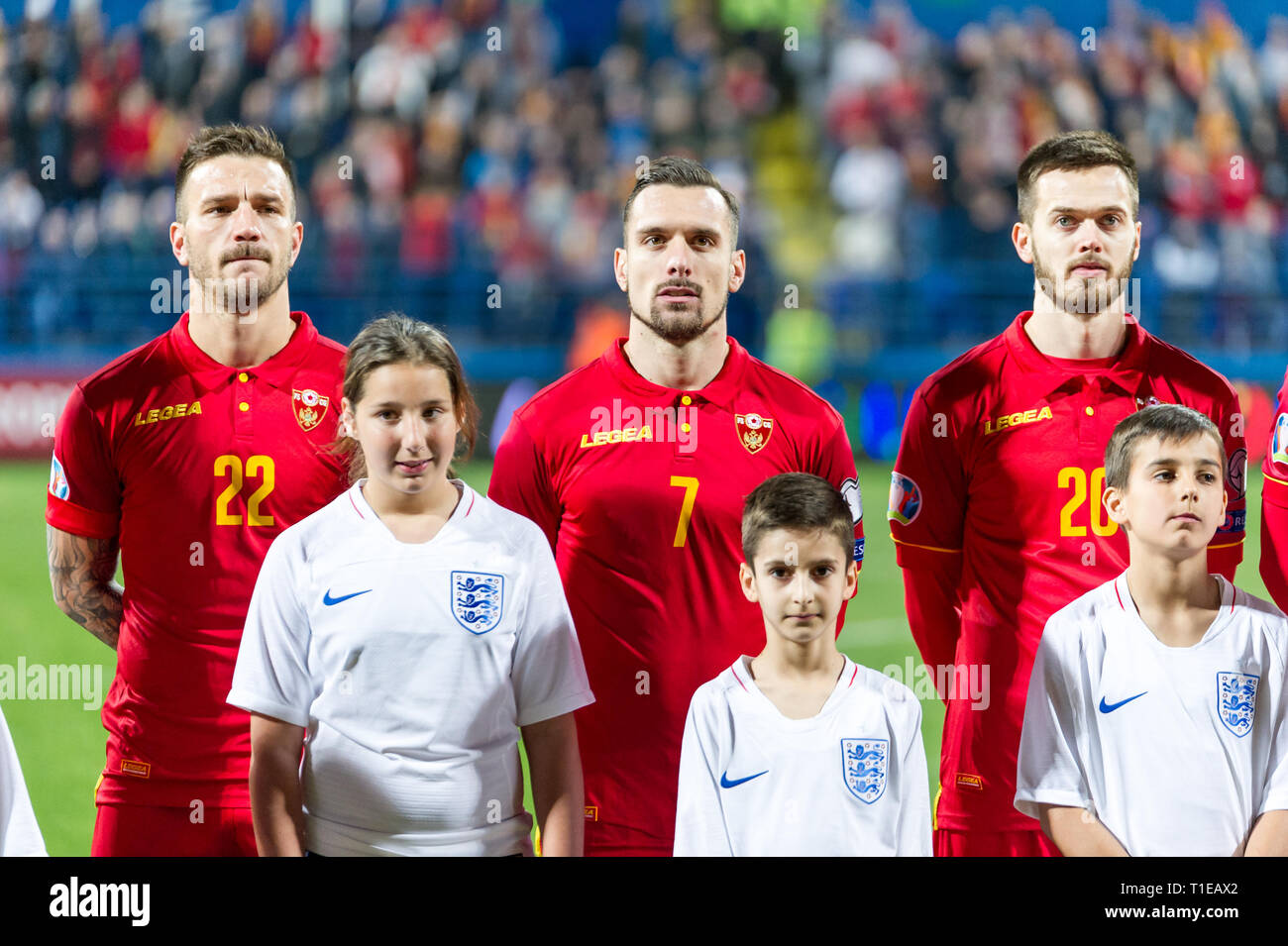 Simic hi-res stock photography and images - Alamy