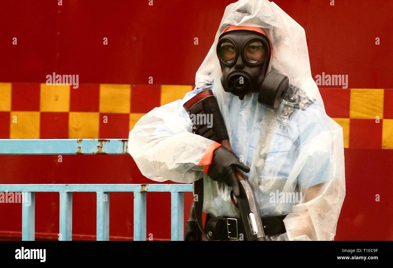 Chinese Special Forces Mask