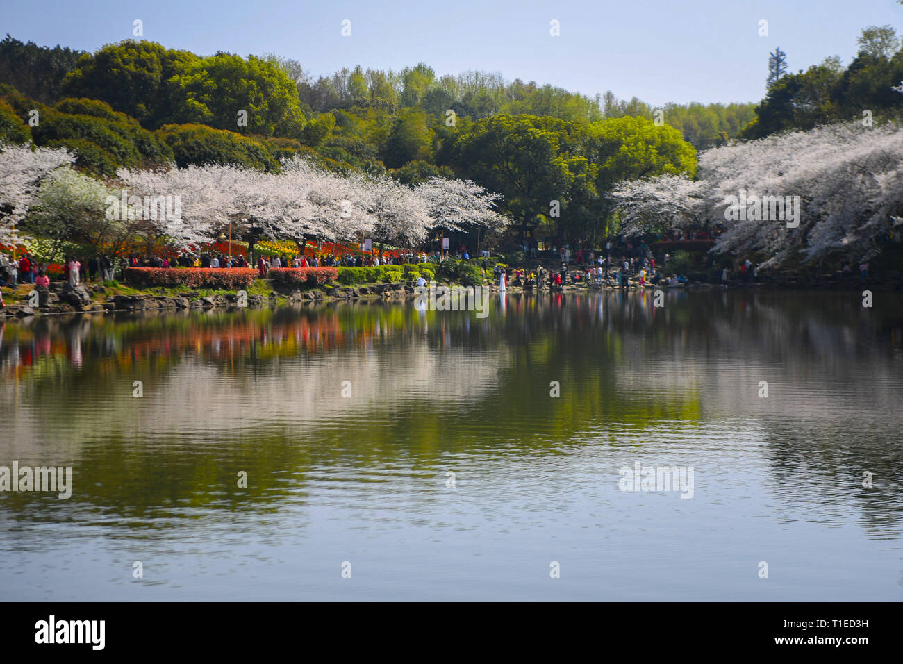 Changsha chinas hunan province 25th hi-res stock photography and images ...