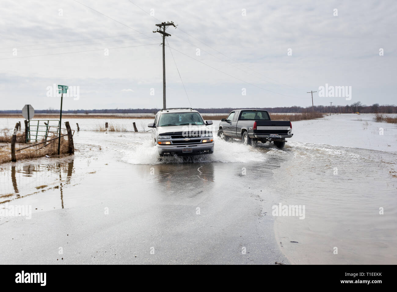 Carmen, Illinois, USA. 25th March, 2019. Water from the Mississippi ...
