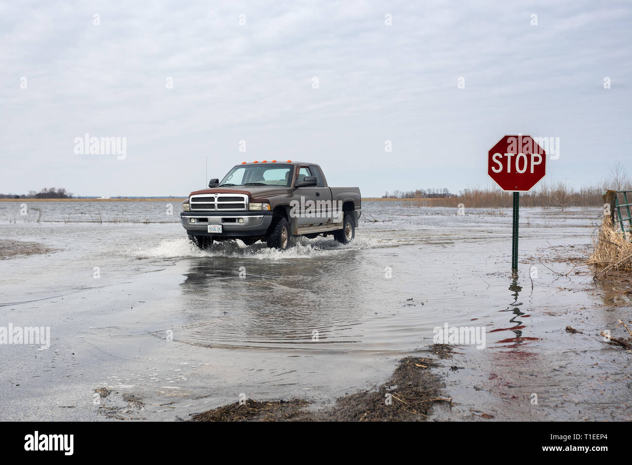 Carmen, Illinois, USA. 25th March, 2019. Water from the Mississippi ...