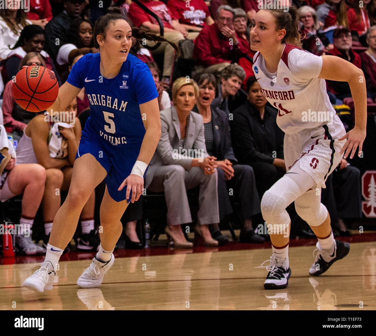 Albiero hi-res stock photography and images - Alamy