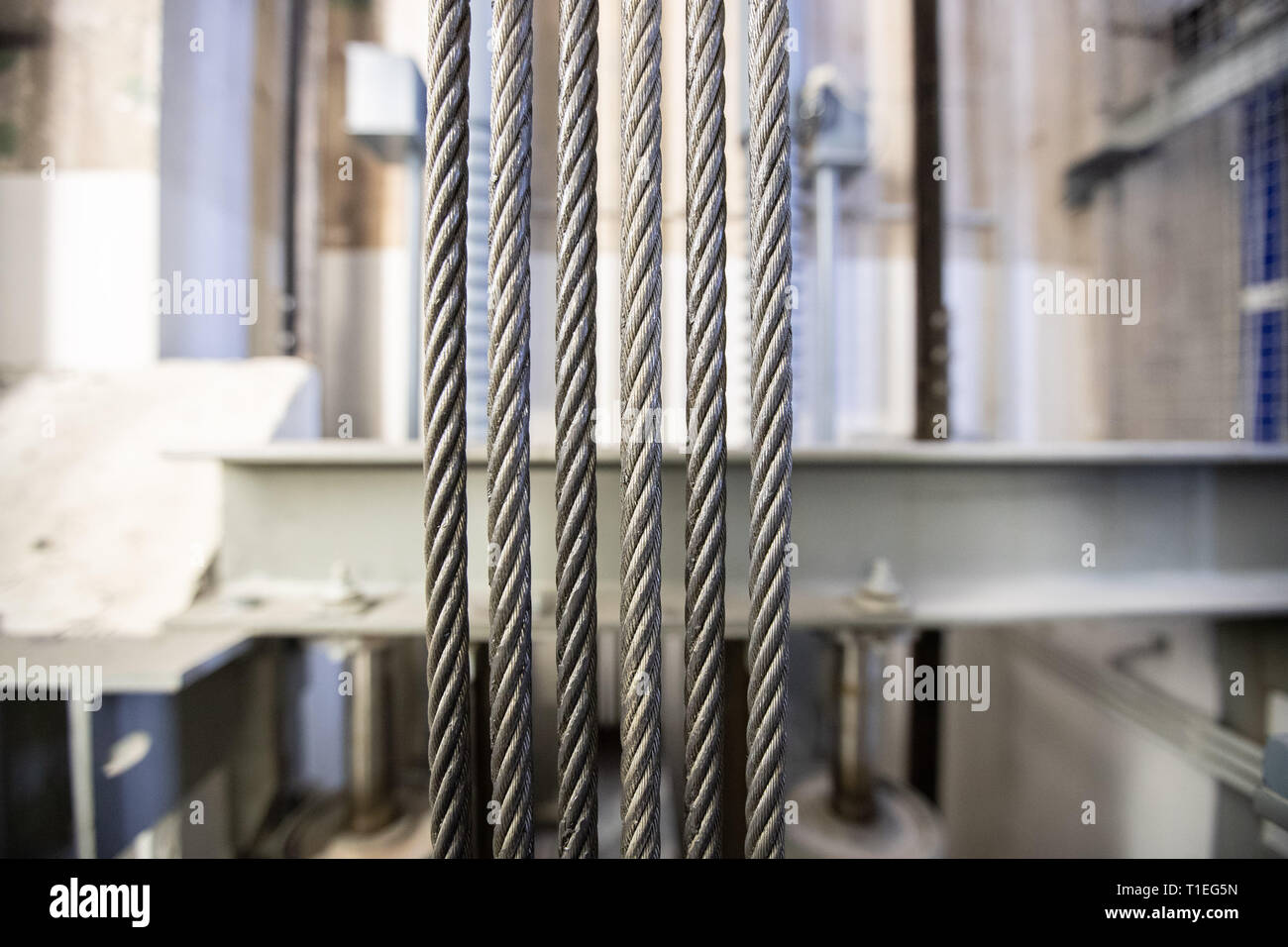 14 March 2019, North Rhine-Westphalia, Düsseldorf: Wire ropes hang in ...