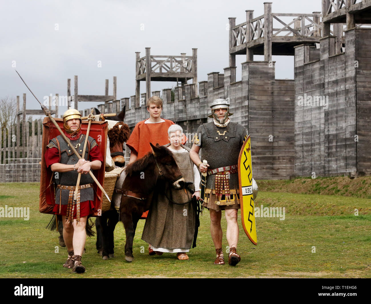 Mules obstacle course hi-res stock photography and images - Alamy
