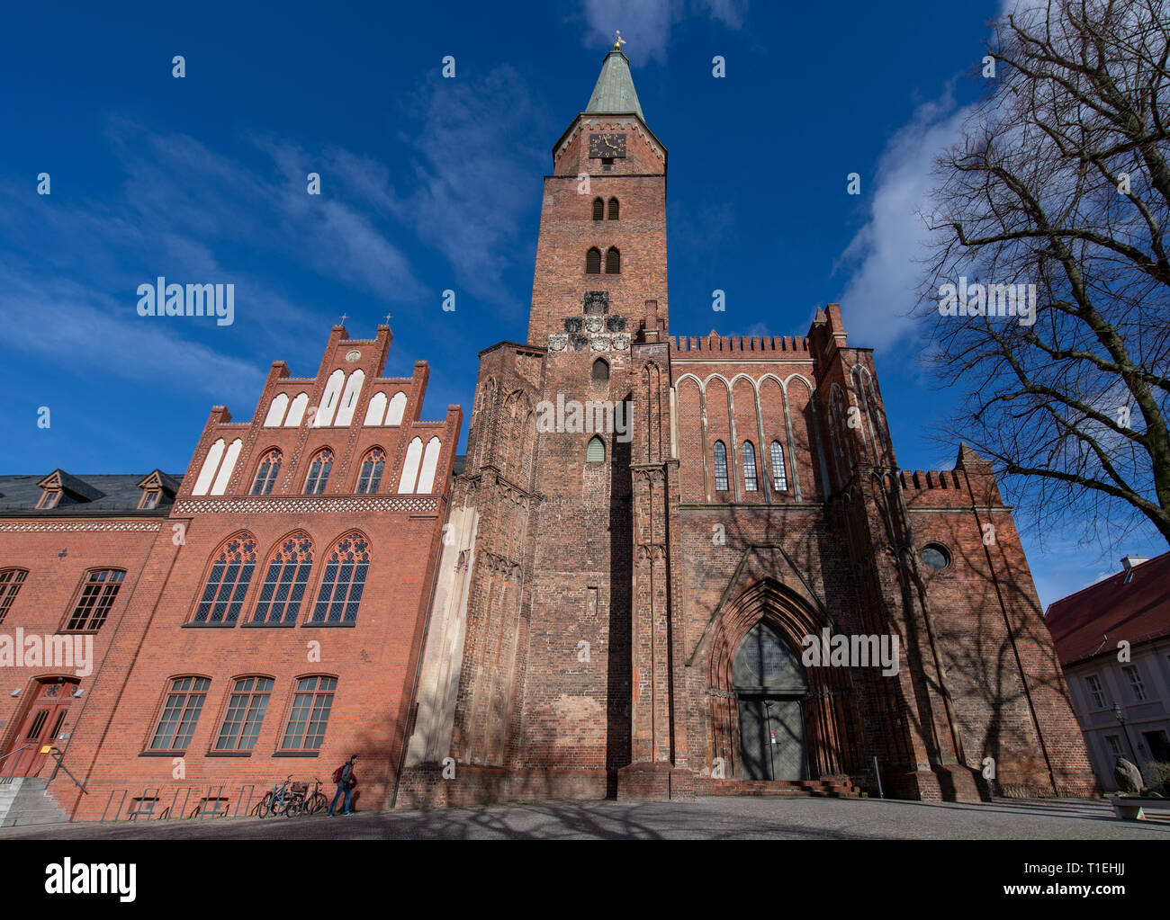 Brandenburg An Der Havel, Germany. 25th Mar, 2019. The tower of the ...