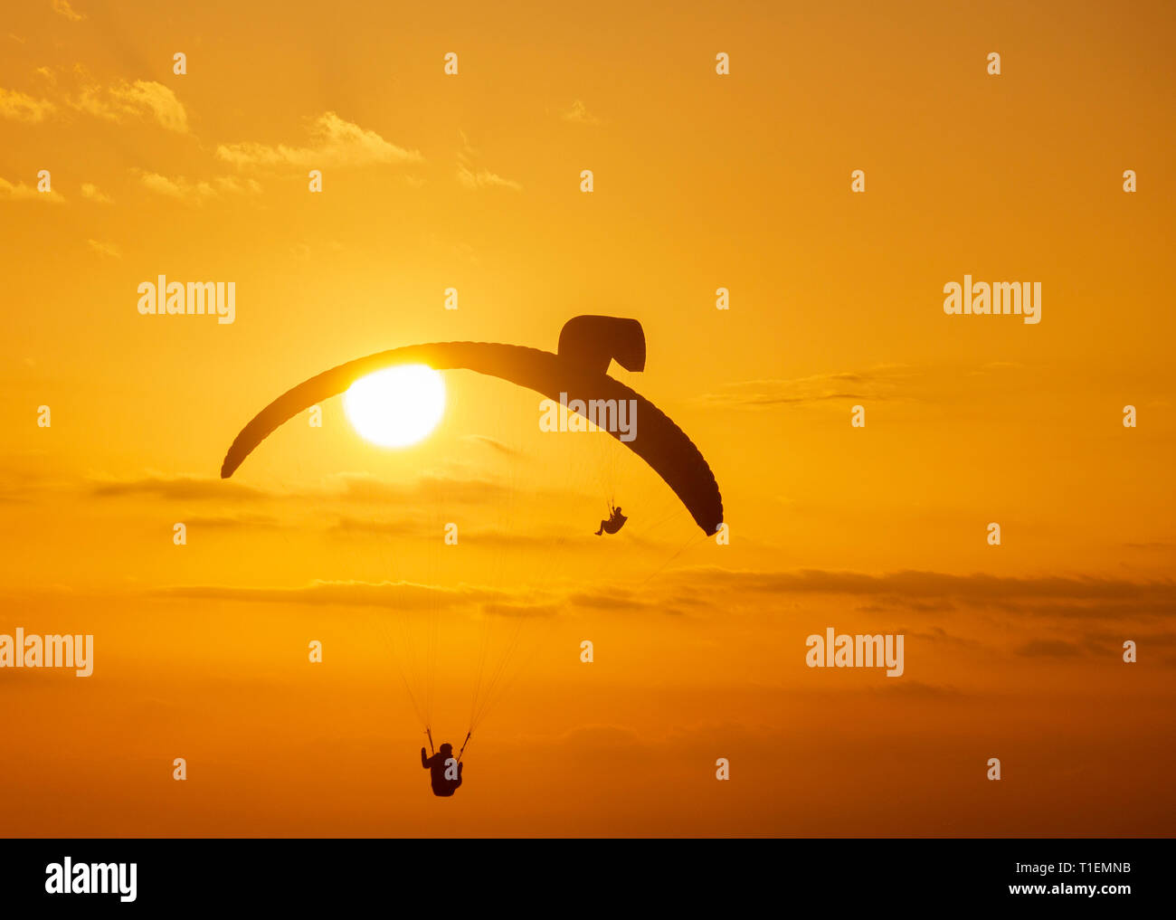 Paragliding Sunset