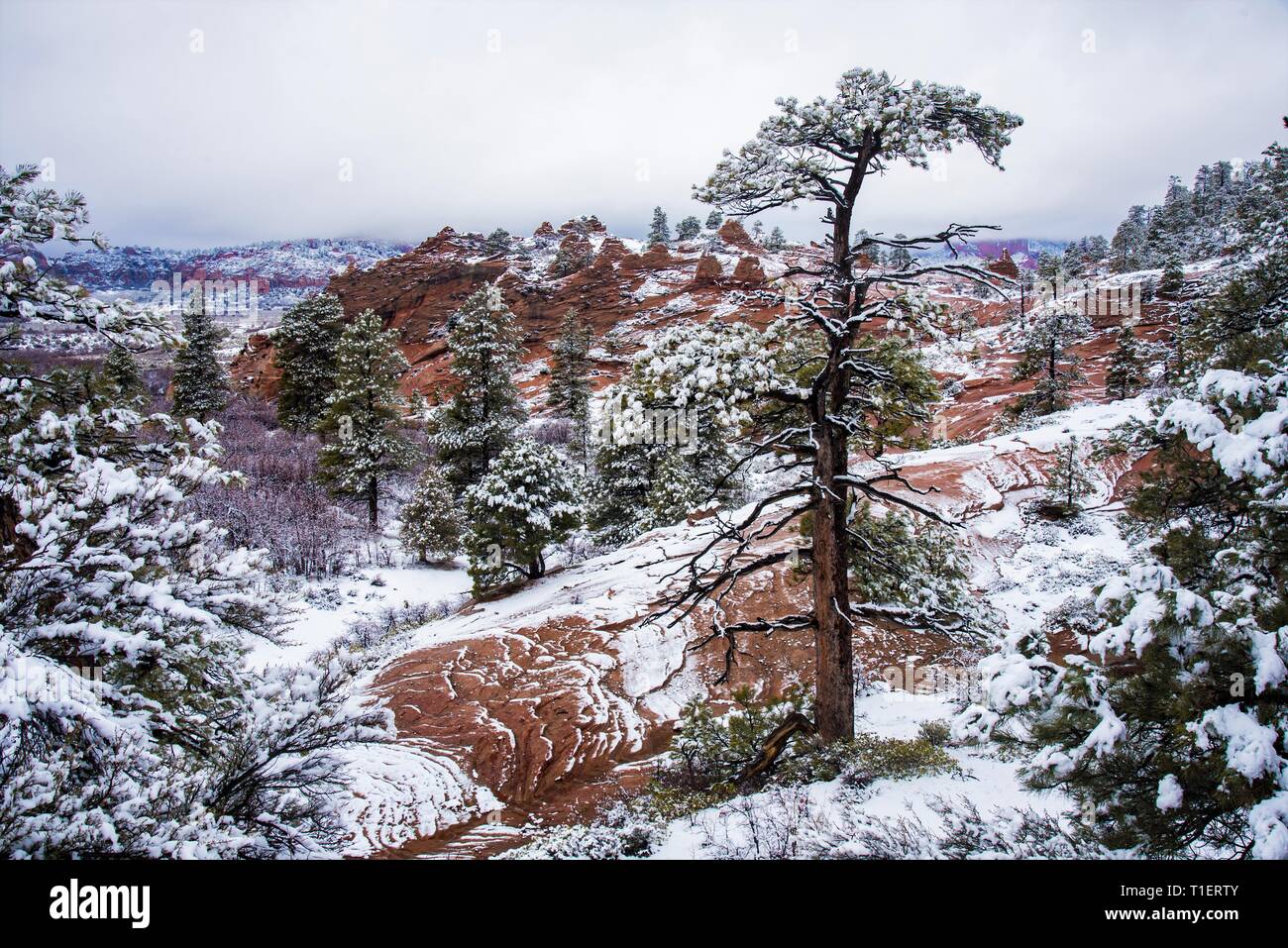 Snow on red rock mountain peaks and high mountain desert Stock Photo ...