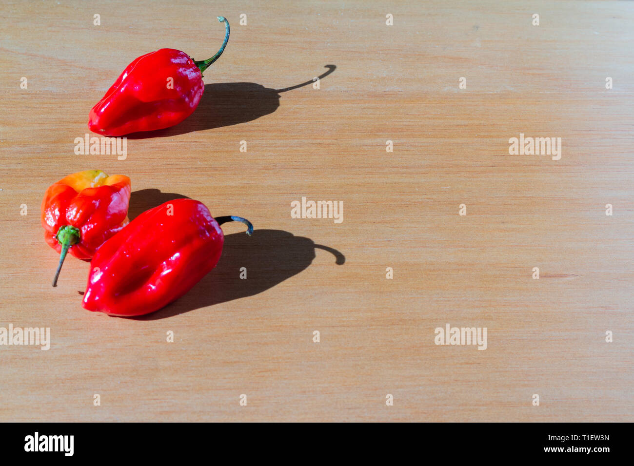 The chili pepper (chile, chile pepper, chilli pepper, or chilli Stock ...