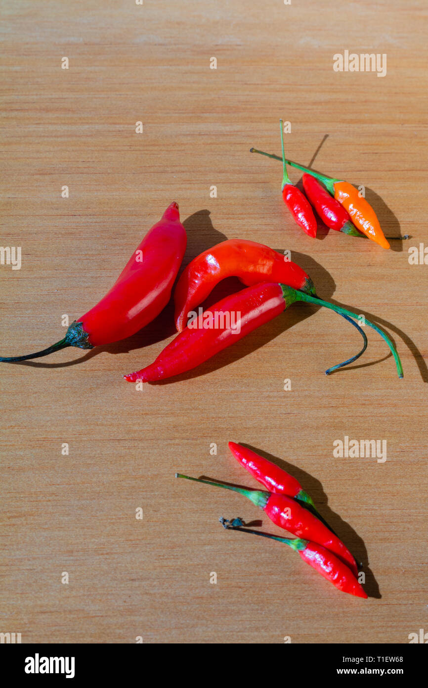 The chili pepper (chile, chile pepper, chilli pepper, or chilli Stock ...