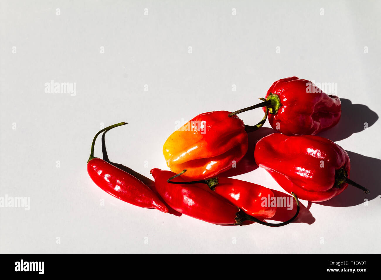 Chile Pepper Stock Photos & Chile Pepper Stock Images - Alamy